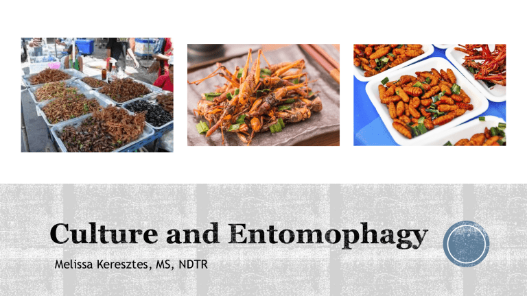 Entomophagy: Culture, Ecology, and Benefits