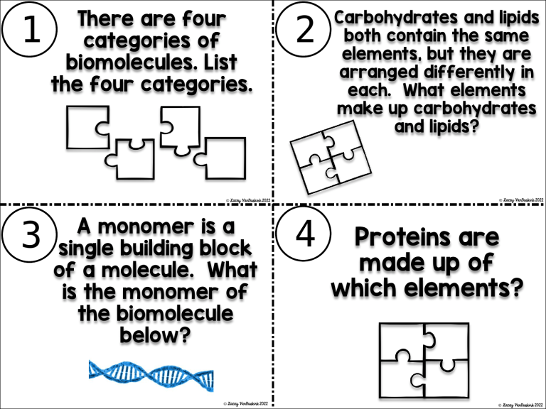 Biomolecules Quiz Questions: Carbohydrates, Lipids, Proteins, Nucleic Acids