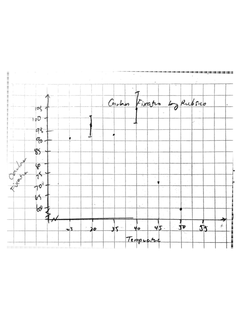 Rubisco Carbon Fixation: Temperature Effects Graph & Data