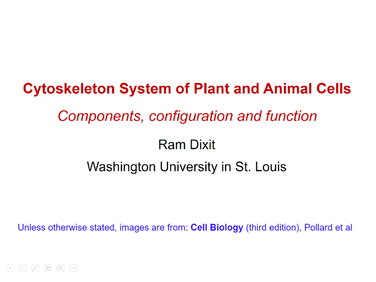 Cytoskeleton in Plant and Animal Cells: Components & Function