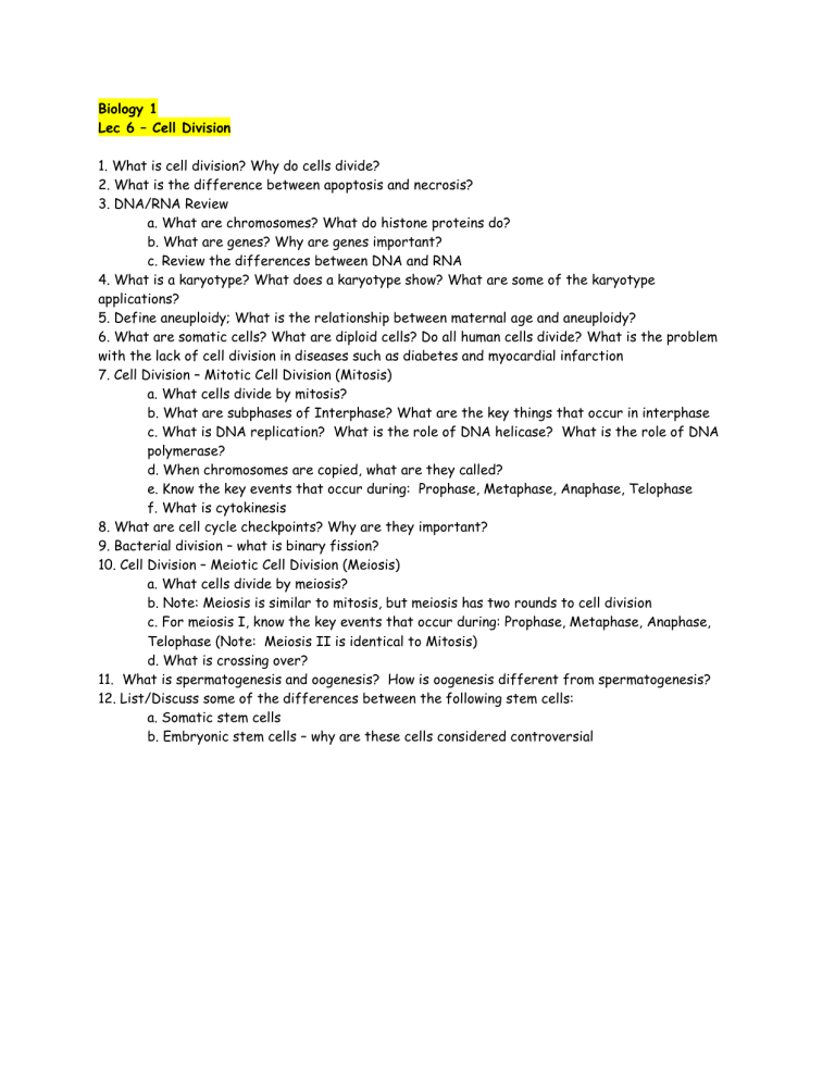 Cell Division: Mitosis, Meiosis, Karyotypes & Stem Cells
