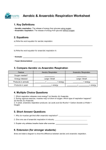Aerobic vs. Anaerobic Respiration Worksheet