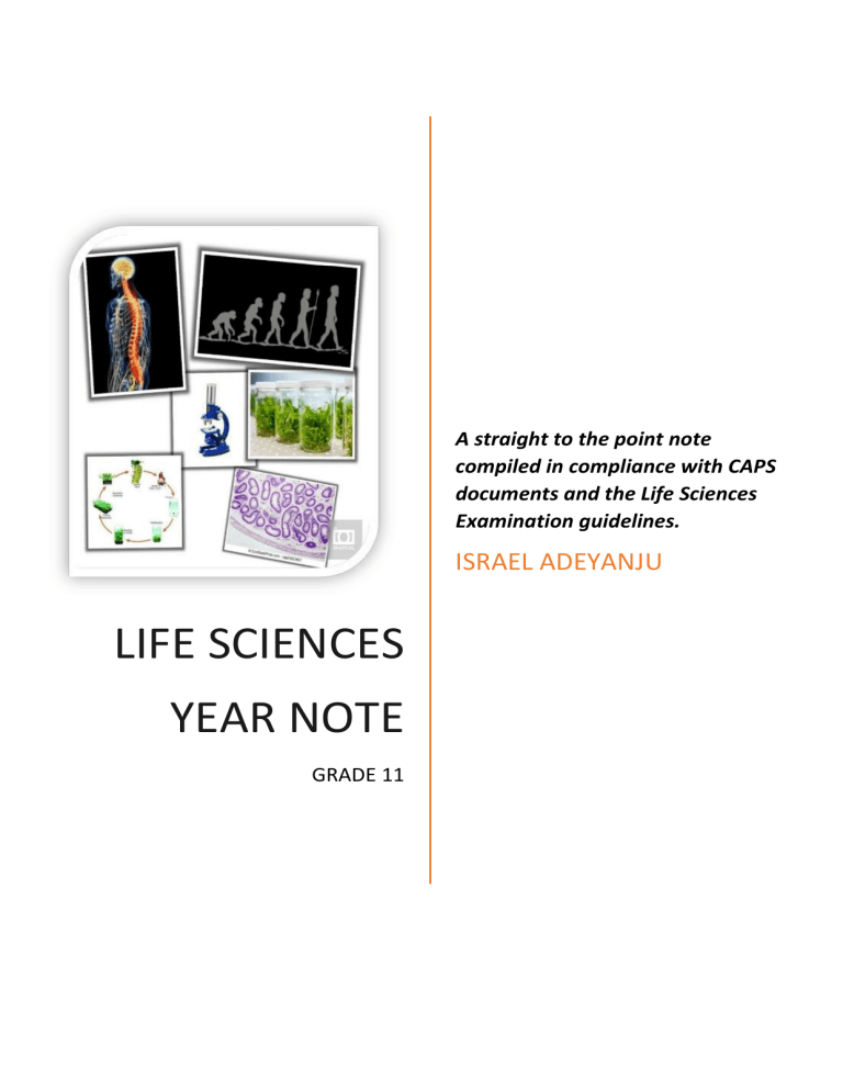 Grade 11 Life Sciences Year Note: Biodiversity & More