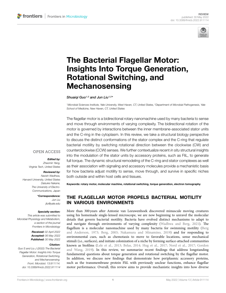 Bacterial Flagellar Motor: Torque Generation, Switching, Mechanosensing