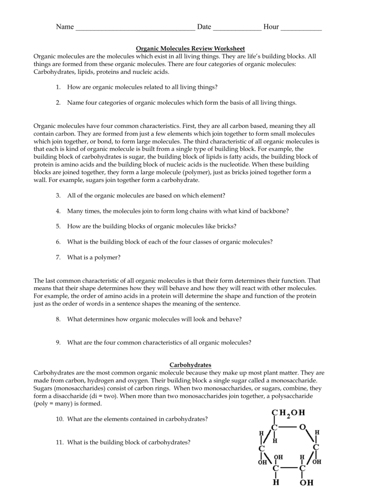 Organic Molecules Review Worksheet: Carbohydrates, Lipids, Proteins