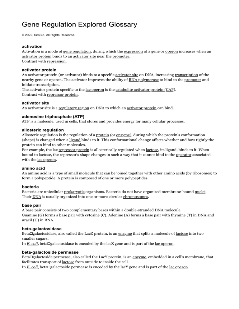 Gene Regulation Explored Glossary: Key Terms in Molecular Biology