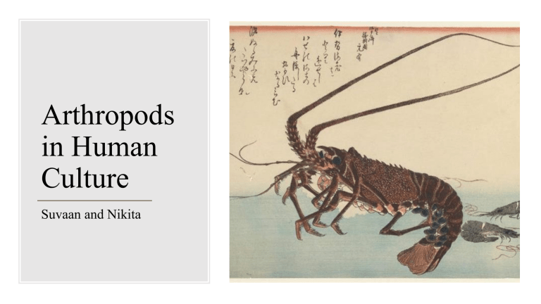 Arthropods in Human Culture: Mythology, Food, Science