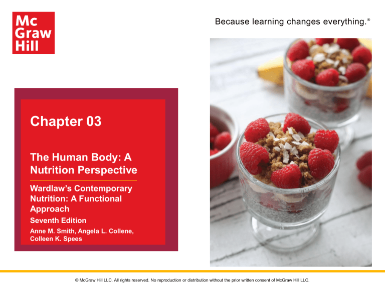 Human Body & Nutrition: Cells, Systems, Metabolism