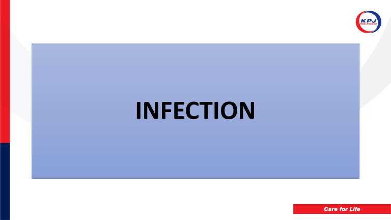 Infectious Diseases: Principles, Transmission, Microbes