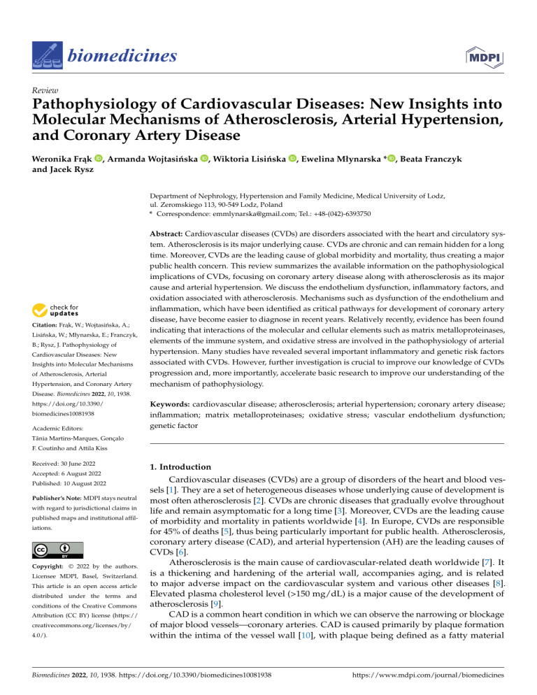 Pathophysiology of Cardiovascular Diseases: Molecular Mechanisms & New ...