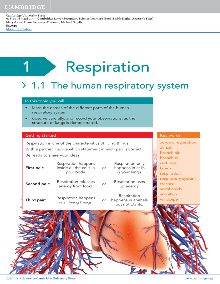 Human Respiratory System & Gas Exchange | Science Learner's Book 8