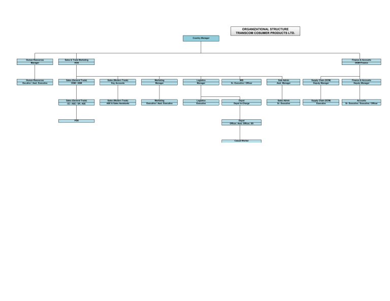 Transcom Consumer Products Ltd. Organizational Structure Chart