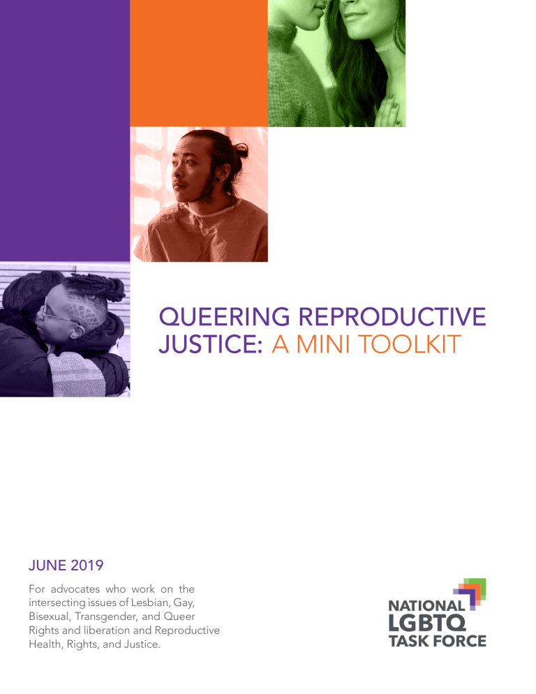 Queering Reproductive Justice: LGBTQ Toolkit