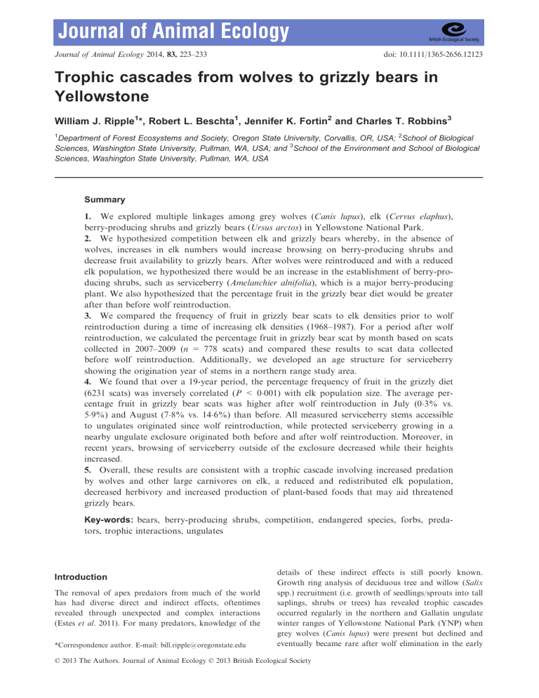 Wolf-Grizzly Bear Trophic Cascades in Yellowstone: Elk & Berry Impact