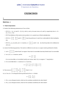Linear Algebra Exercises: Matrices, Transformations, and Norms