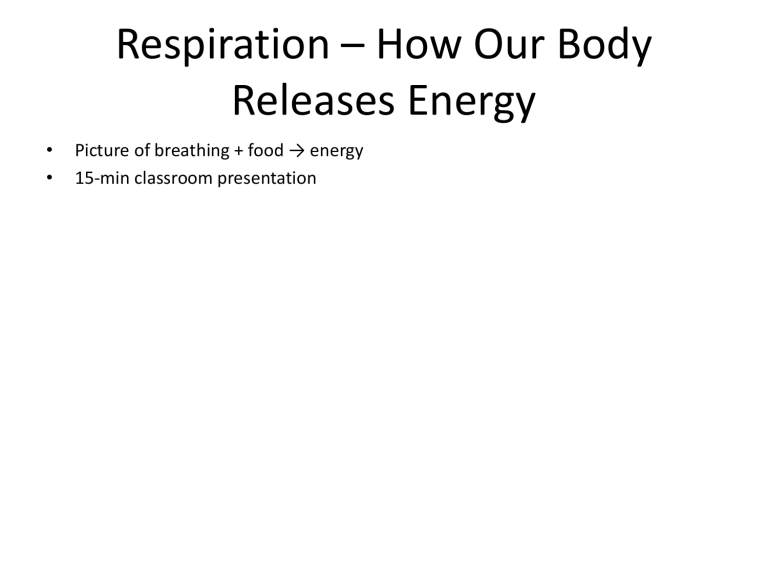 Respiration: How Our Body Releases Energy