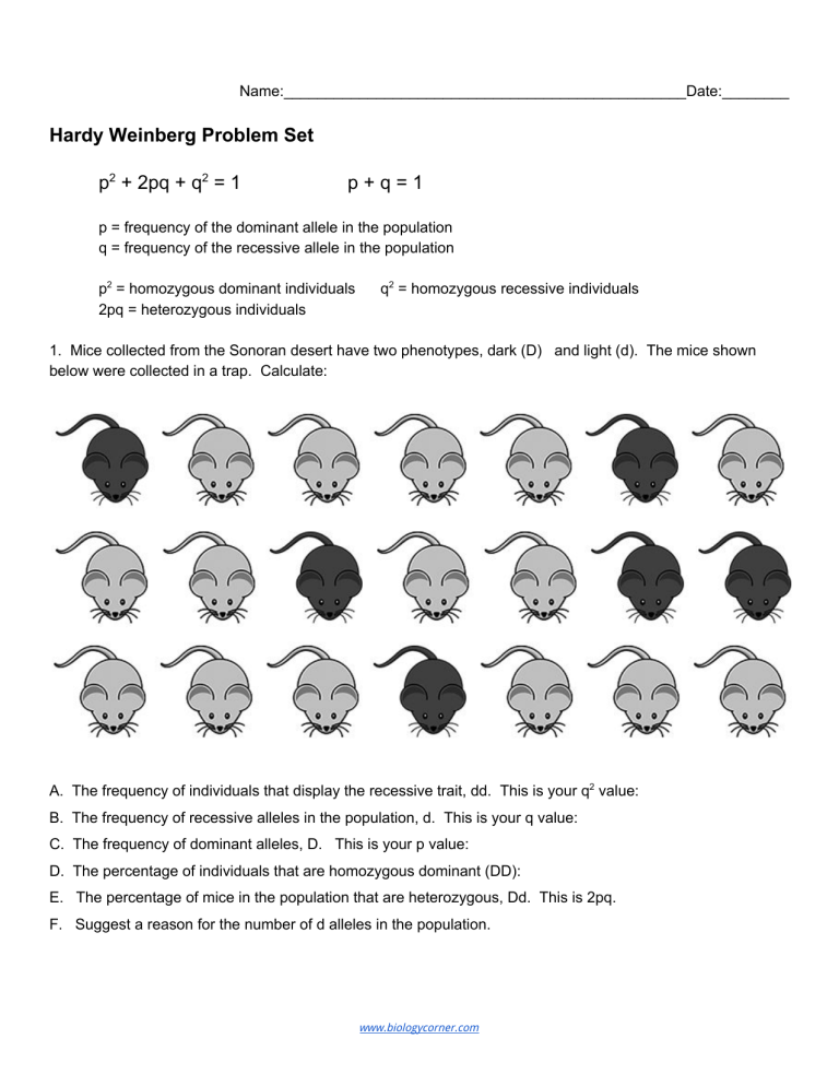 Hardy Weinberg Problem Set: Population Genetics Practice & Solutions