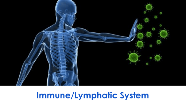 Immune & Lymphatic Systems: Anatomy & Function