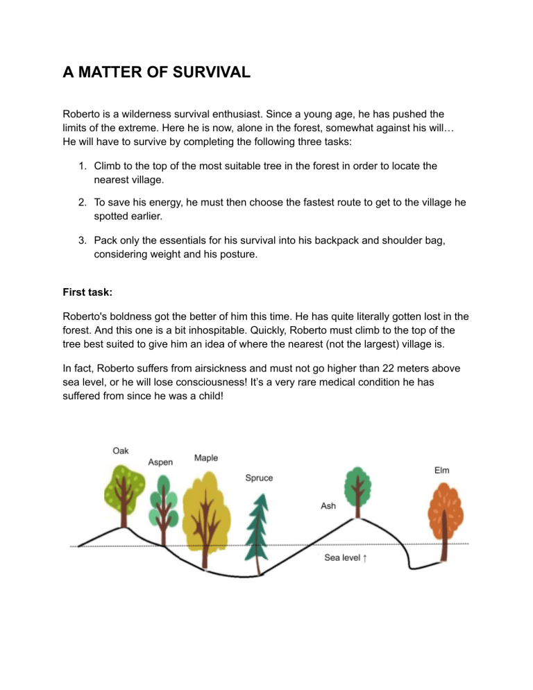 Wilderness Survival Challenge: Math & Logic Problem-Solving Exercise