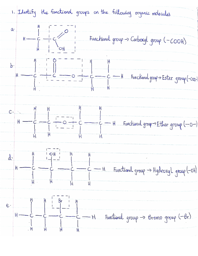 Functional Groups in Organic Molecules Worksheet