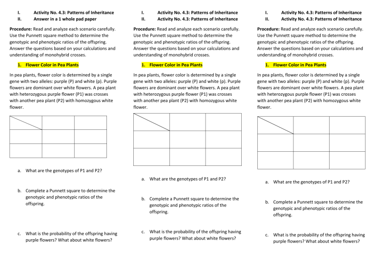 Genetics: Inheritance Patterns & Punnett Squares
