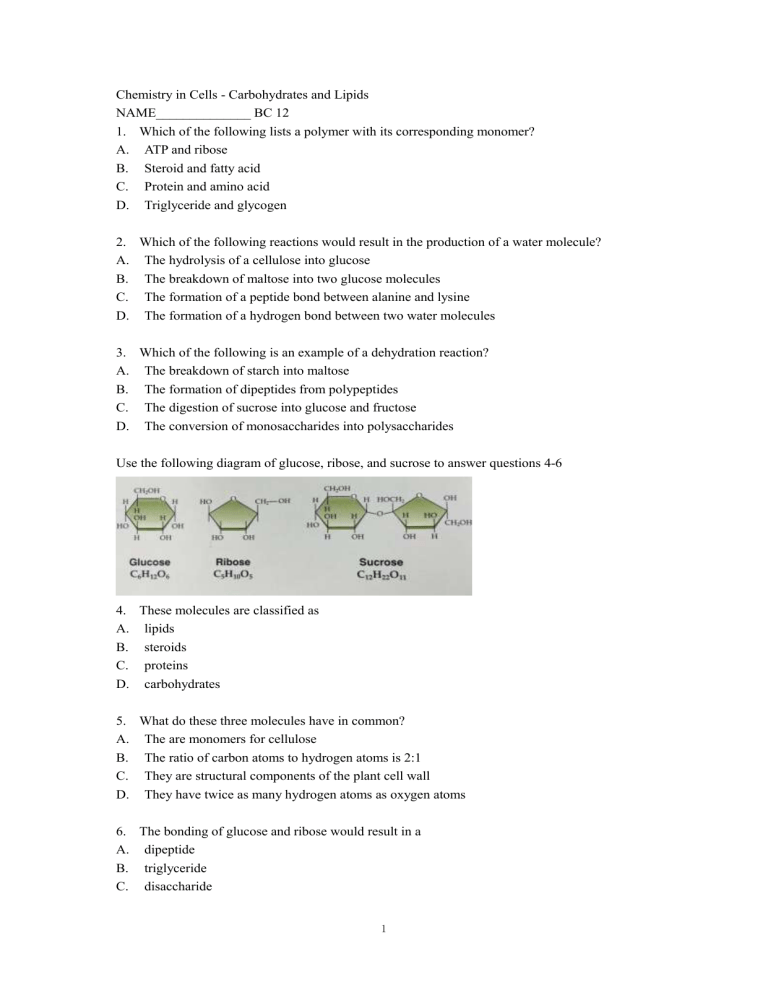 Chemistry in Cells: Carbohydrates & Lipids Worksheet | High School Biology