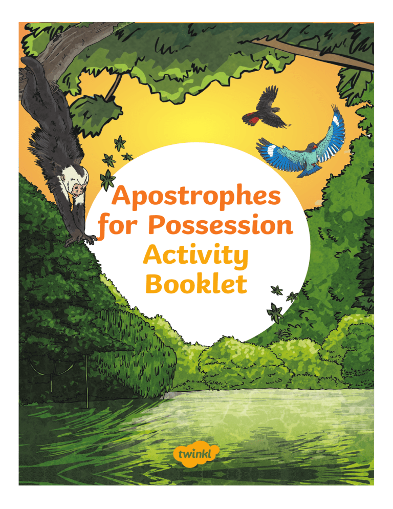 Apostrophes for Possession Activity Booklet