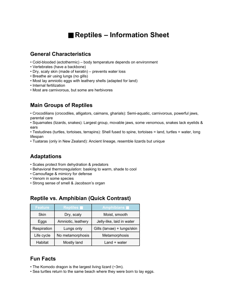 Reptiles: Characteristics, Groups & Adaptations Information Sheet