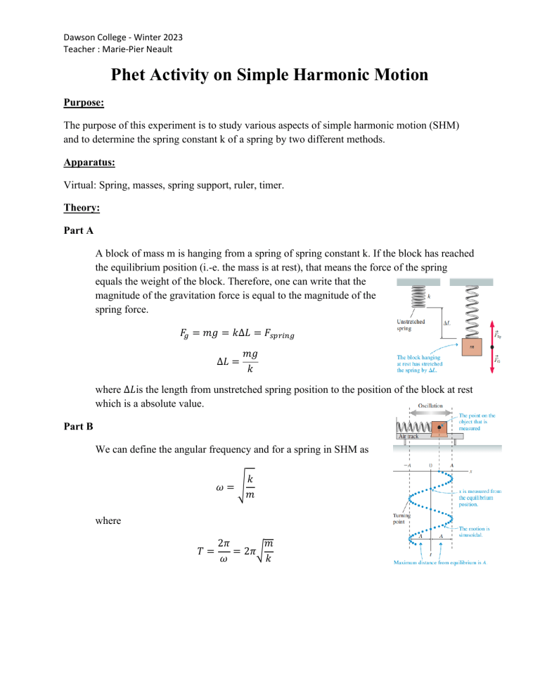 Simple Harmonic Motion Lab: Spring Constant Determination