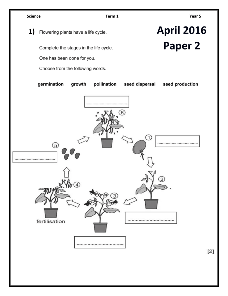 Flowering Plant Life Cycle Worksheet - Year 5 Science
