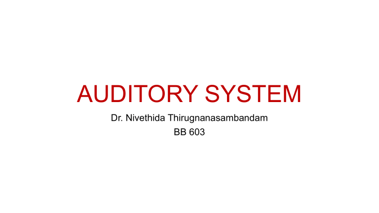 Auditory & Visual Systems: Physiology, Structure, Function