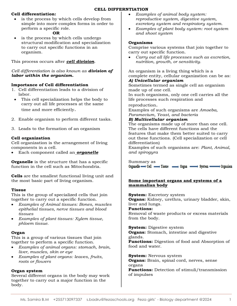 Cell Differentiation & Organization: Biology Lecture Notes
