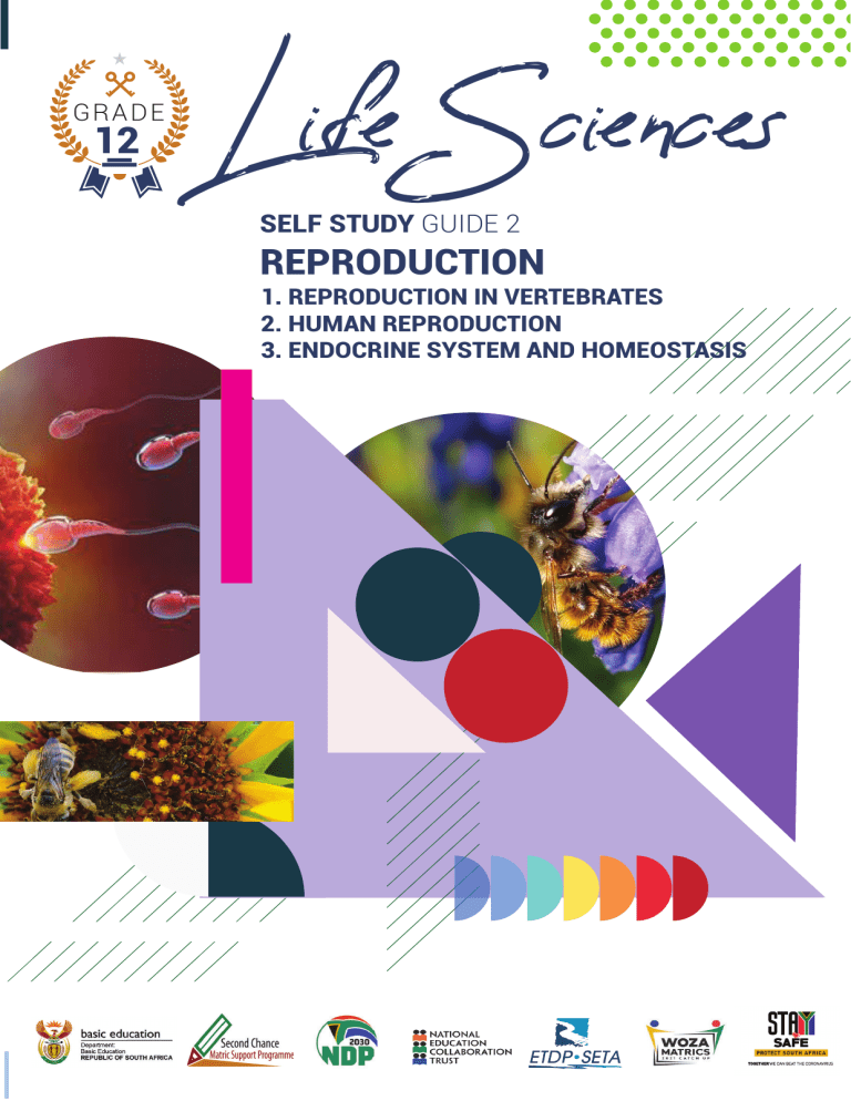 Grade 12 Life Sciences Self-Study Guide: Reproduction & Endocrine System