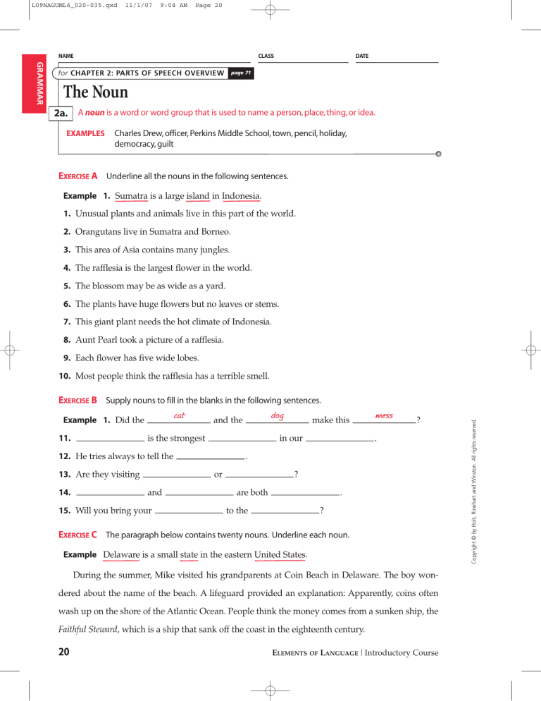 Grammar Worksheet: Nouns, Pronouns & Antecedents Exercises