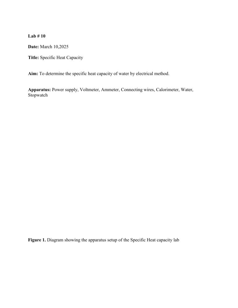 Specific Heat Capacity of Water Lab Report
