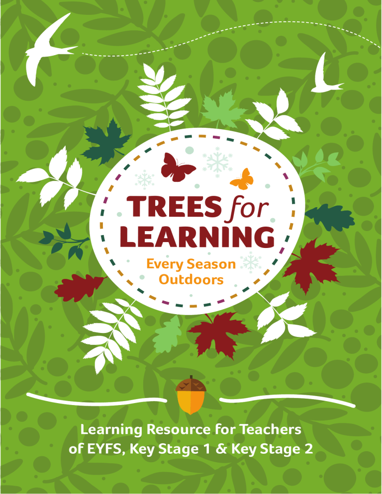 Trees for Learning: Seasonal Outdoor Activities for Kids