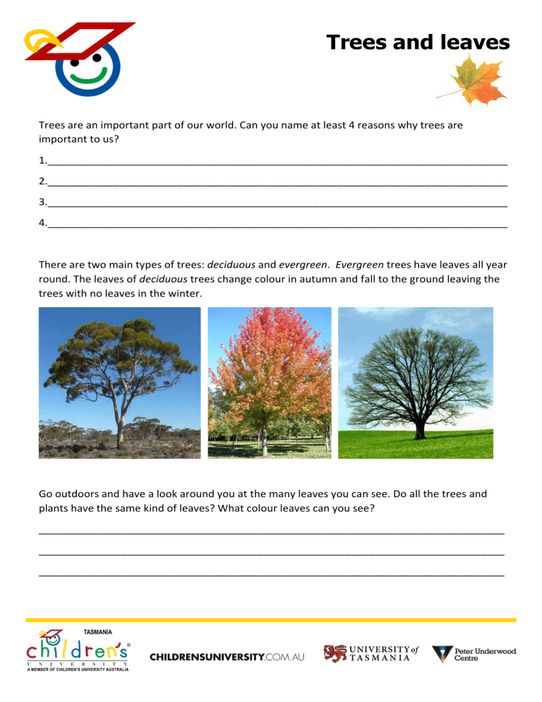 Trees and Leaves Worksheet: Elementary Science
