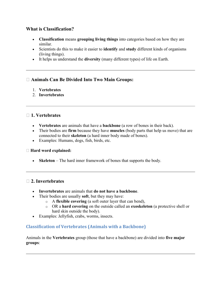 Animal Classification: Vertebrates & Invertebrates | Biology Study Guide