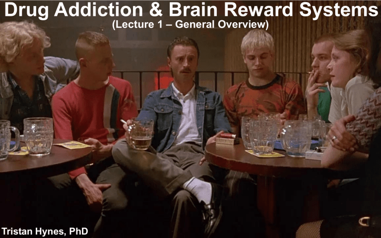 Drug Addiction & Brain Reward Systems: General Overview Lecture