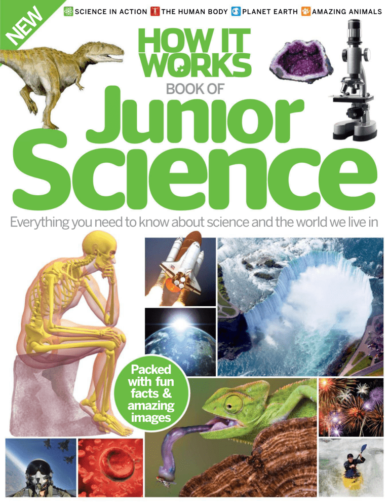 How It Works Book of Junior Science: Explore Earth, Body & Animals