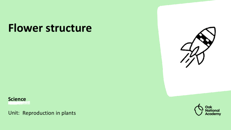 Flower Structure & Plant Reproduction | Science Lesson for Students
