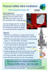 Pressure Safety Valve Installation: BB-PSV Bonnet Vent Safety Guide