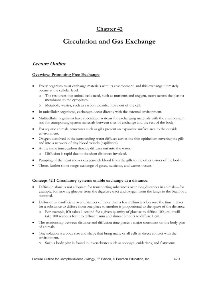 Chapter 42: Circulation and Gas Exchange - Biology Lecture Outline