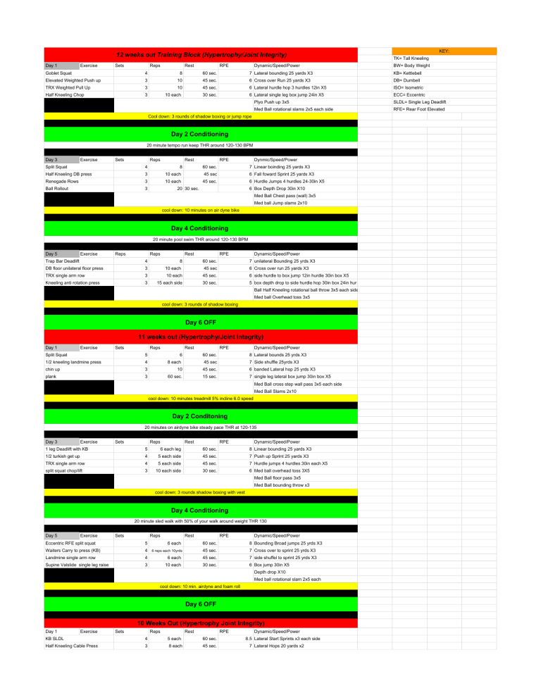 12-Week Hypertrophy & Joint Integrity Training Plan