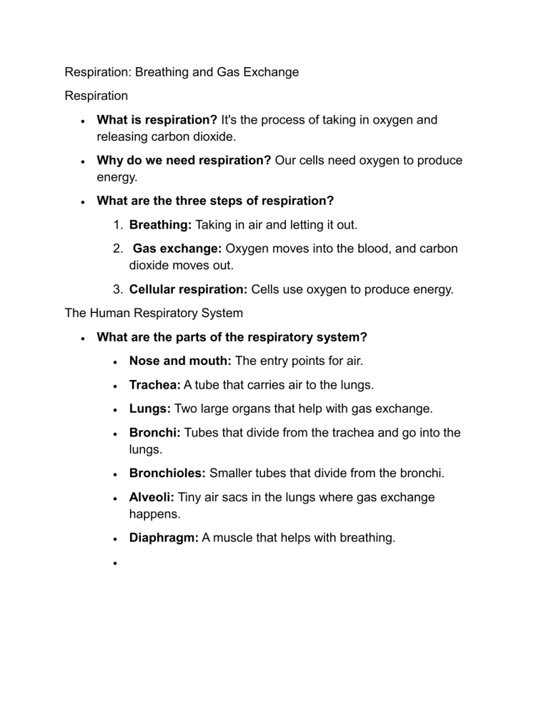 Respiration: Breathing, Gas Exchange & Human Respiratory System Guide