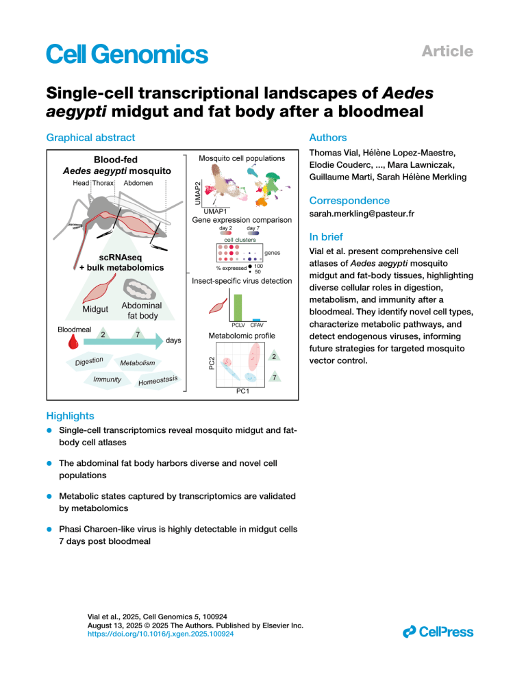 Aedes aegypti Midgut & Fat Body Transcriptional Landscapes