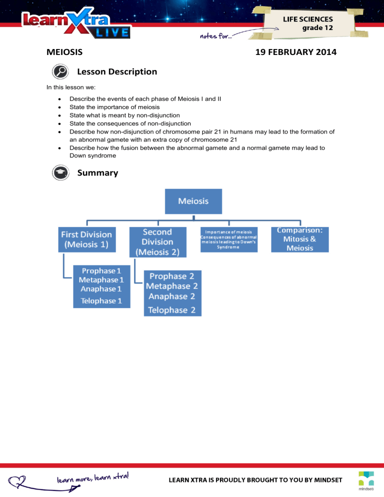 Meiosis: Phases, Importance, Non-Disjunction & Down Syndrome - Grade 12