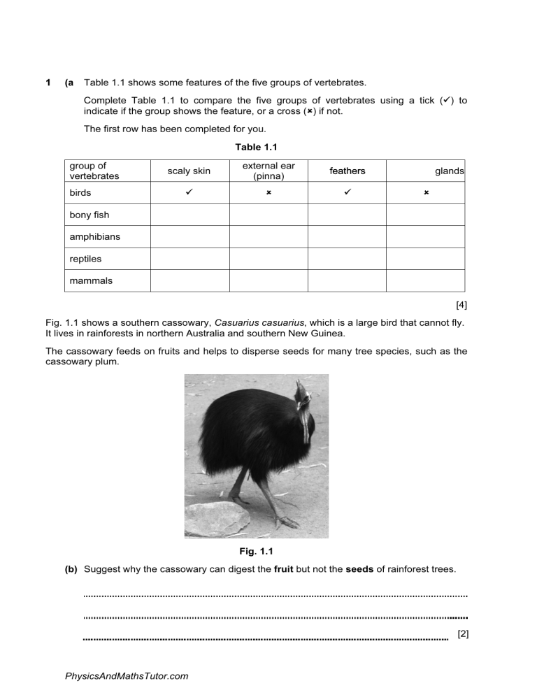 Biology Vertebrate Classification, Ecology, and Plant Reproduction Exam