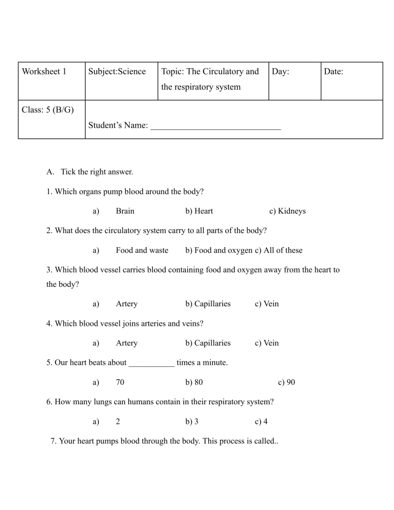 Science Worksheet: Circulatory & Respiratory Systems for Grade 5