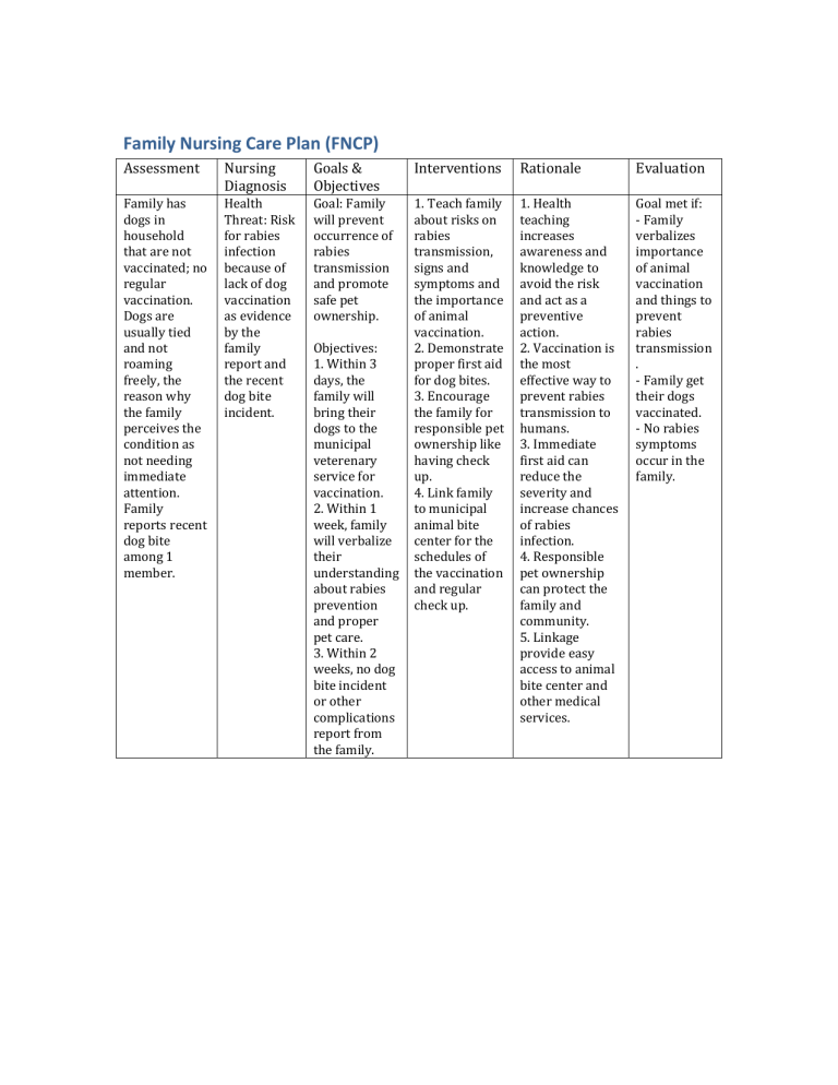 Family Nursing Care Plan: Rabies Prevention & Pet Care